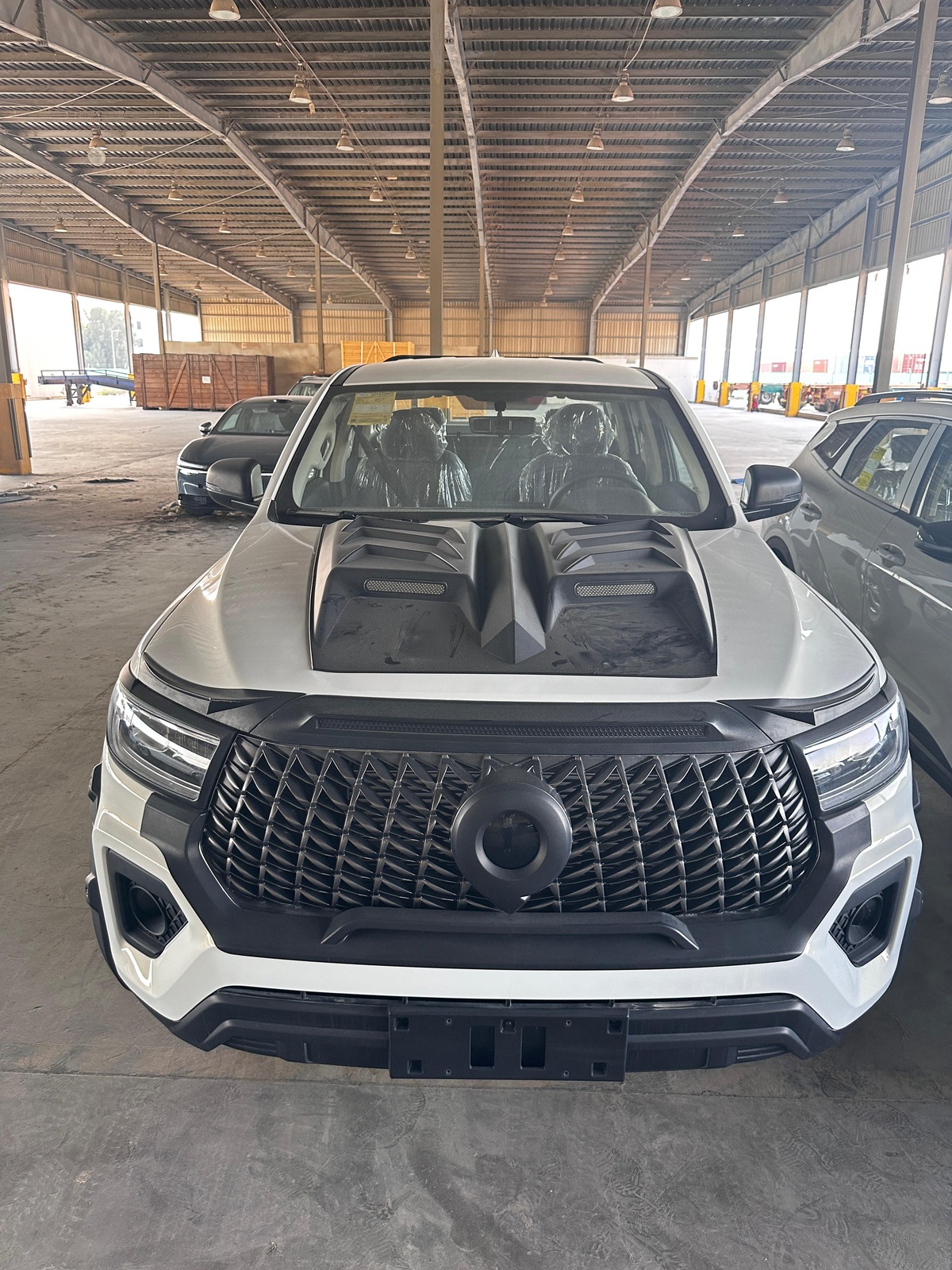 Chinese 2024 Great Wall Poer - iCarsU.com